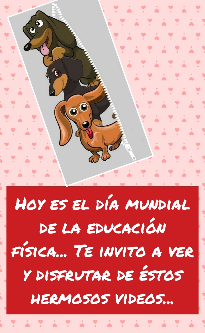 Busco perro para adoptar – Revista +x-